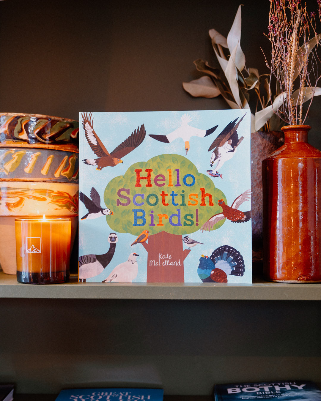 Hello Scottish Birds